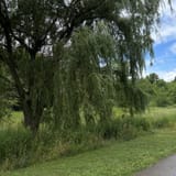 Lookout Ridge Loop and Skyline Overlook, Ohio - 752 Reviews, Map ...