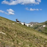 Mount Chapin, Chiquita, and Ypsilon Mountain via Chapin Pass Trail ...