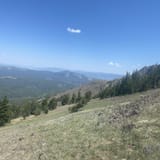 Dunraven Pass to Mount Washburn, Montana - 1,738 Reviews, Map | AllTrails