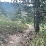 Horsetooth Falls Loop Trail, Colorado - 2,666 Reviews, Map | AllTrails