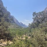 Kayenta Trail to the Emerald Pools, Utah - 3,848 Reviews, Map | AllTrails