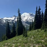 Silver Forest Trail, Washington - 533 Reviews, Map | AllTrails