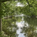 Gring's Mill Trail, Pennsylvania - 1,052 Reviews, Map | AllTrails