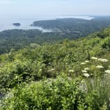 Mount Battie via Carriage Road Trail, Maine - 723 Reviews, Map | AllTrails