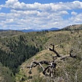 Mount Galbraith Loop via Cedar Gulch Trail, Colorado - 11,451 Reviews ...