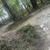 Mazeppa Park Trail, North Carolina - 465 Reviews, Map | AllTrails