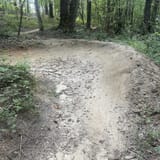 Mazeppa Park Trail, North Carolina - 465 Reviews, Map | AllTrails