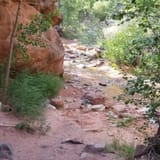 Middle Fork Taylor Creek Trail, Utah - 3,543 Reviews, Map | AllTrails