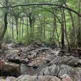 Nancy Pond, New Hampshire - 65 Reviews, Map | AllTrails