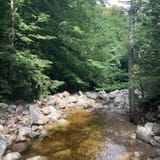 Nancy Pond, New Hampshire - 65 Reviews, Map | AllTrails