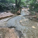 Red Bluff, Mississippi - 446 Reviews, Map | AllTrails