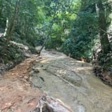 Red Bluff, Mississippi - 446 Reviews, Map | AllTrails