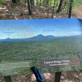Laurel Ridge Trail Loop, Georgia - 810 Reviews, Map | AllTrails