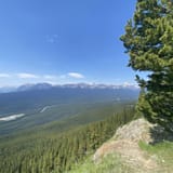 Castle Mountain Lookout Trail, Alberta, Canada - 2,151 Reviews, Map ...