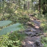 Lake to Lake Trail Loop via Lacamas Creek, Washington - 2,655 Reviews ...
