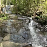 Fall Branch Falls Trail, Georgia - 1,409 Reviews, Map | AllTrails