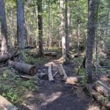 Helmcken Falls Rim Trail, British Columbia, Canada - 536 Reviews, Map ...