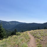 Cone Peak Trail, Oregon - 804 Reviews, Map | AllTrails