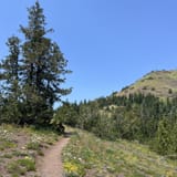Cone Peak Trail, Oregon - 804 Reviews, Map | AllTrails