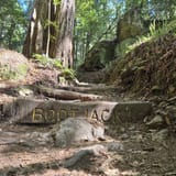 Bootjack Loop, California - 1,944 Reviews, Map | AllTrails