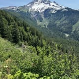 Top Spur and Timberline Loop, Oregon - 800 Reviews, Map | AllTrails