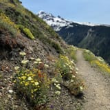 Top Spur and Timberline Loop, Oregon - 800 Reviews, Map | AllTrails
