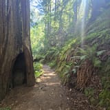 Bootjack Loop, California - 1,944 Reviews, Map | AllTrails