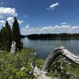 String Lake Trail, Wyoming - 2,271 Reviews, Map | AllTrails