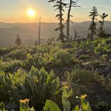 Mount Judah Loop Trail, California - 2,416 Reviews, Map | AllTrails