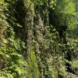 James Irvine Trail, California - 1,822 Reviews, Map | AllTrails