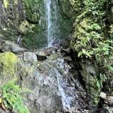 Ashley Gorge Loop and Waterfall Track, Canterbury, New Zealand - 157 ...