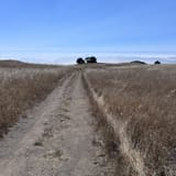 Sea to Sky to Raptor Ridge Loop, California - 1,412 Reviews, Map ...