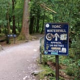 Torc Waterfall Trail, County Kerry, Ireland - 766 Reviews, Map | AllTrails