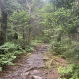 Haystack Mountain Trail, Vermont - 2,096 Reviews, Map | AllTrails