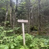 Haystack Mountain Trail, Vermont - 2,141 Reviews, Map | AllTrails