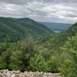 Thousand Steps, Pennsylvania - 1,320 Reviews, Map | AllTrails