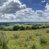 Wye and the North Downs Circular Walk, Kent, England - 658 Reviews, Map ...