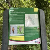 Wye and the North Downs Circular Walk, Kent, England - 658 Reviews, Map ...