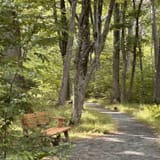 Limberlost Trail, Virginia - 976 Reviews, Map | AllTrails