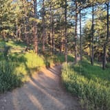 Independence Mountain Trail, Colorado - 5,433 Reviews, Map | AllTrails