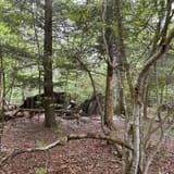Limberlost Trail, Virginia - 976 Reviews, Map | AllTrails