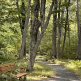 Limberlost Trail, Virginia - 976 Reviews, Map | AllTrails