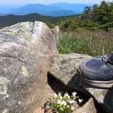 Beaver Brook Trail to Mount Moosilauke, New Hampshire - 1,352 Reviews ...