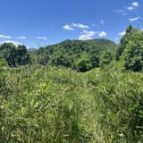 Lost Cove Trail, North Carolina - 212 Reviews, Map | AllTrails