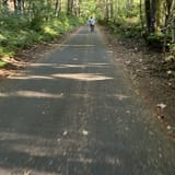 Chehalis Western Trail, Washington - 546 Reviews, Map | AllTrails