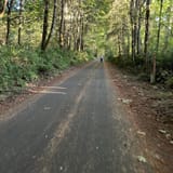 Chehalis Western Trail, Washington - 546 Reviews, Map | AllTrails