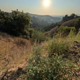 Fryman Canyon Trail, California - 6,341 Reviews, Map | AllTrails