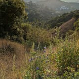 Fryman Canyon Trail, California - 6,350 Reviews, Map | AllTrails