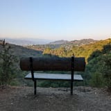 Fryman Canyon Trail, California - 6,436 Reviews, Map | AllTrails