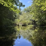 Capen Hill Nature Sanctuary, Massachusetts - 234 Reviews, Map | AllTrails